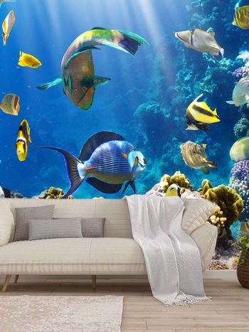 New Collection – BOTTA