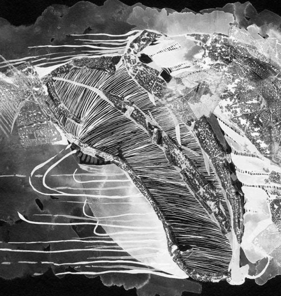 Jellyfish Planet – BOTTA